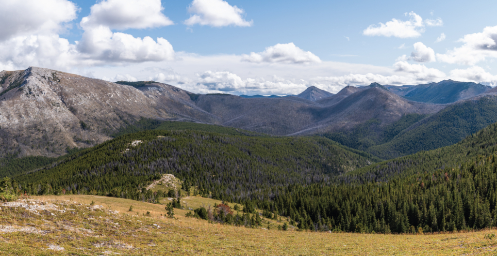 Connect With Us | Village of Clinton